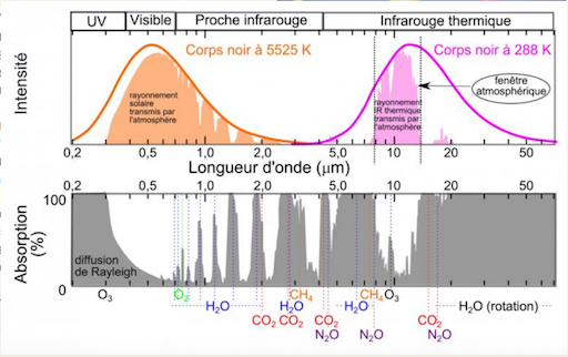 Dérèglement Climatique Multiversel